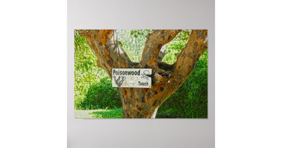 Poisonwood Tree Warning Sign | Zazzle