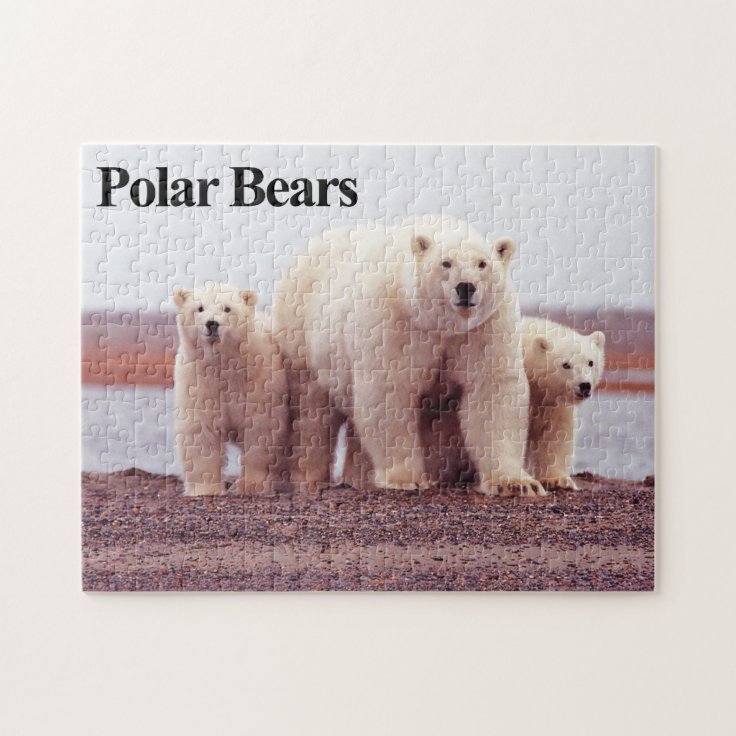 Polar Bear 12 Jigsaw Puzzle | Zazzle