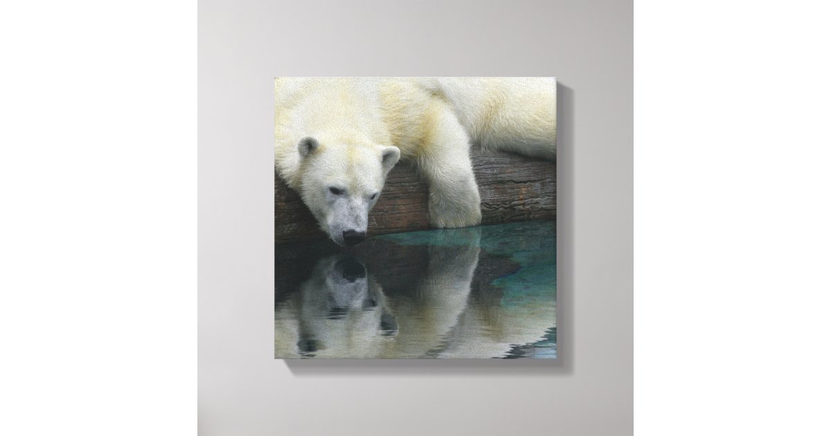 Polar Bear Canvas - Polar Bear Reflections | Zazzle