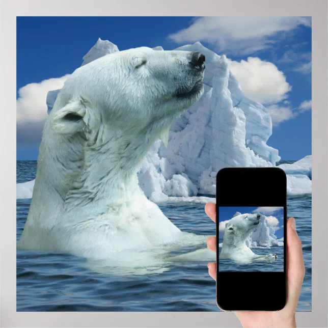 Polar bear climate change melting ice poster | Zazzle