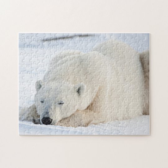 Polar Bear in winter Jigsaw Puzzle | Zazzle.com
