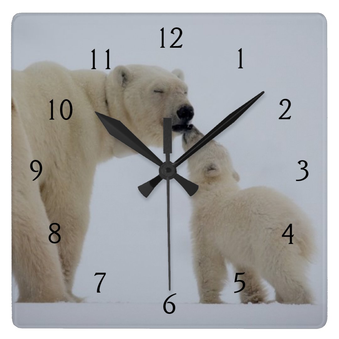 Polar Bear Mother with Cub Square Wall Clock | Zazzle