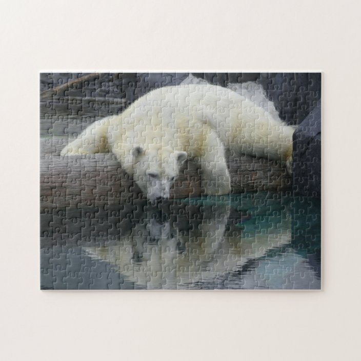 Polar Bear Puzzle | Zazzle.com