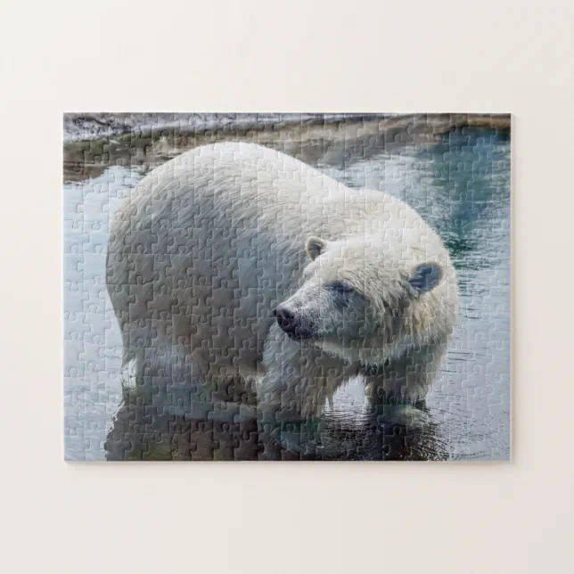 Polar Bear Puzzle | Zazzle