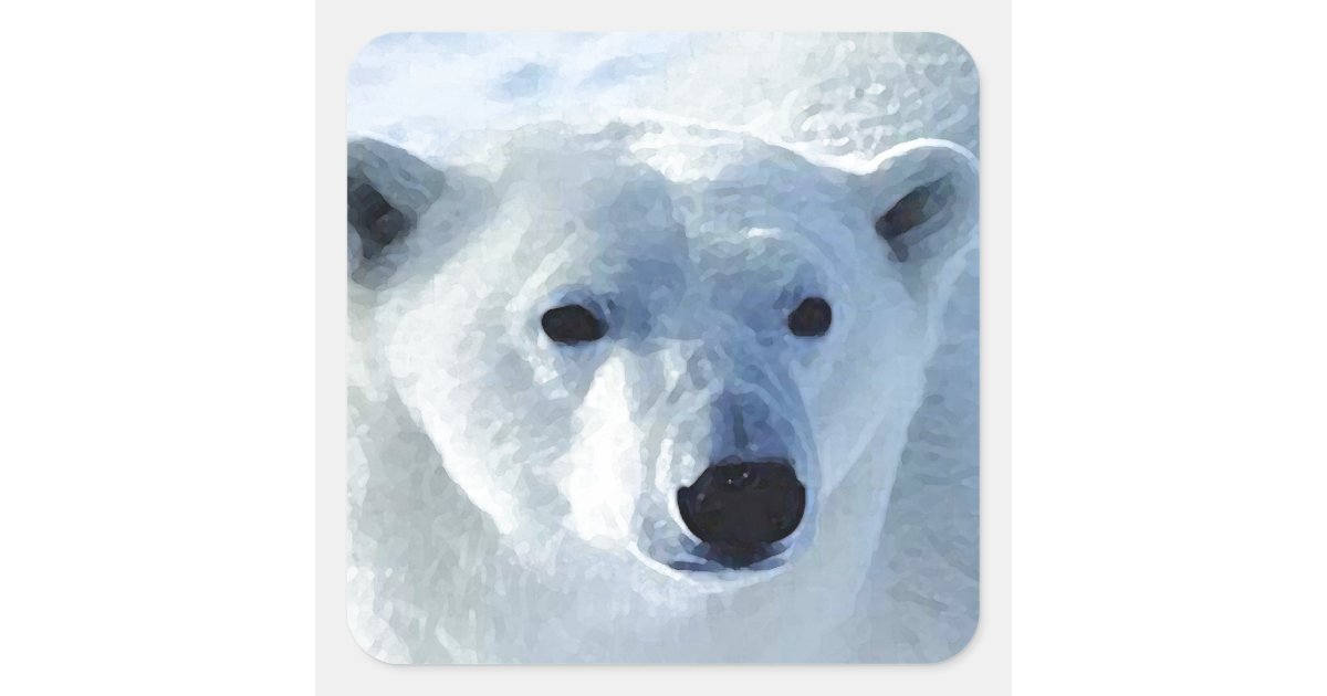 Polar Bear Square Sticker | Zazzle