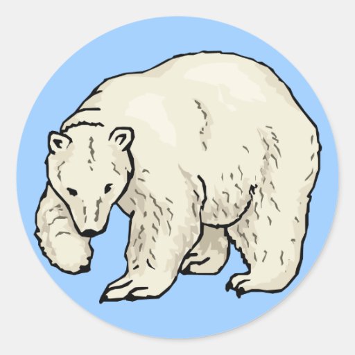 Polar Bear Sticker | Zazzle