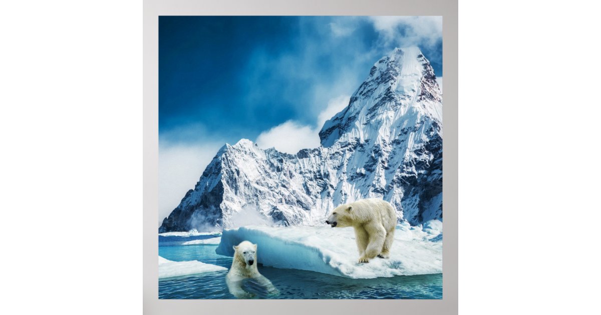 Polar bears poster | Zazzle