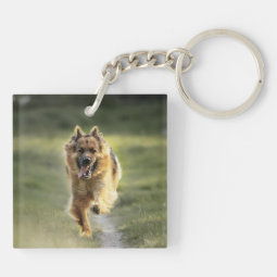 Police Dog Memorial K9 Officer In Loving Memory Keychain | Zazzle