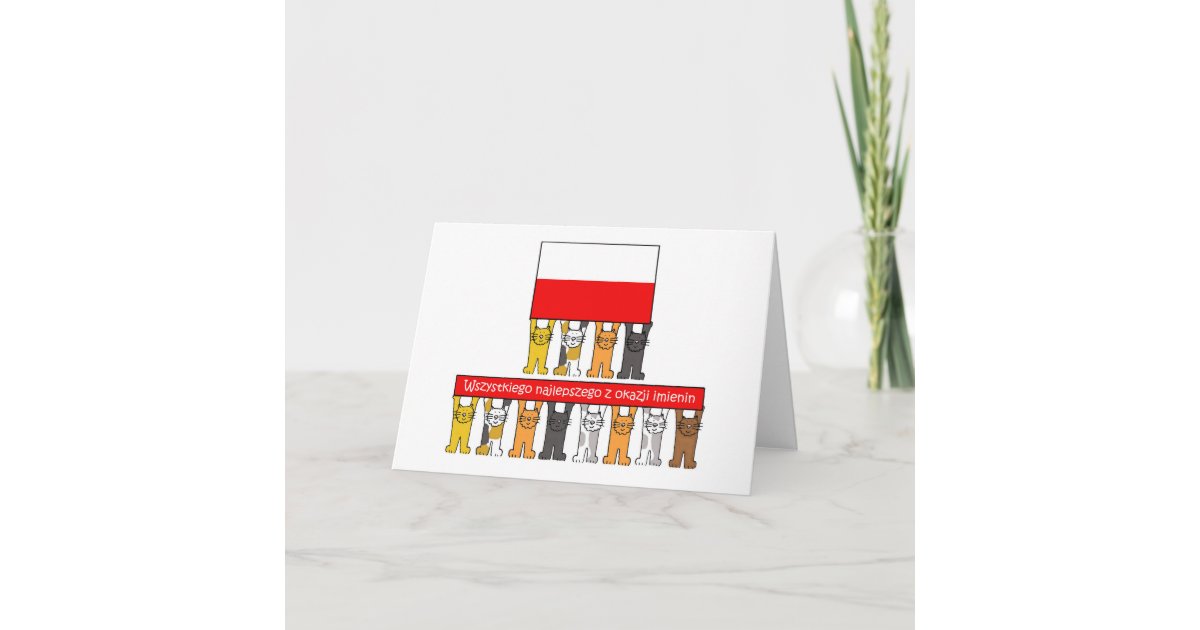 Polish Name Day Congratulations Cartoon Cats Card | Zazzle
