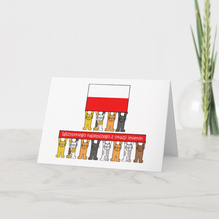 Polish Name Day Congratulations Cartoon Cats Card | Zazzle