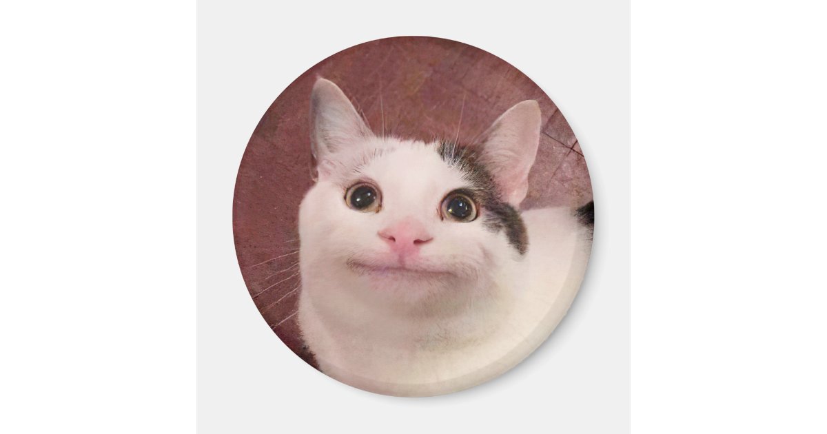 Polite Cat Meme Magnet | Zazzle