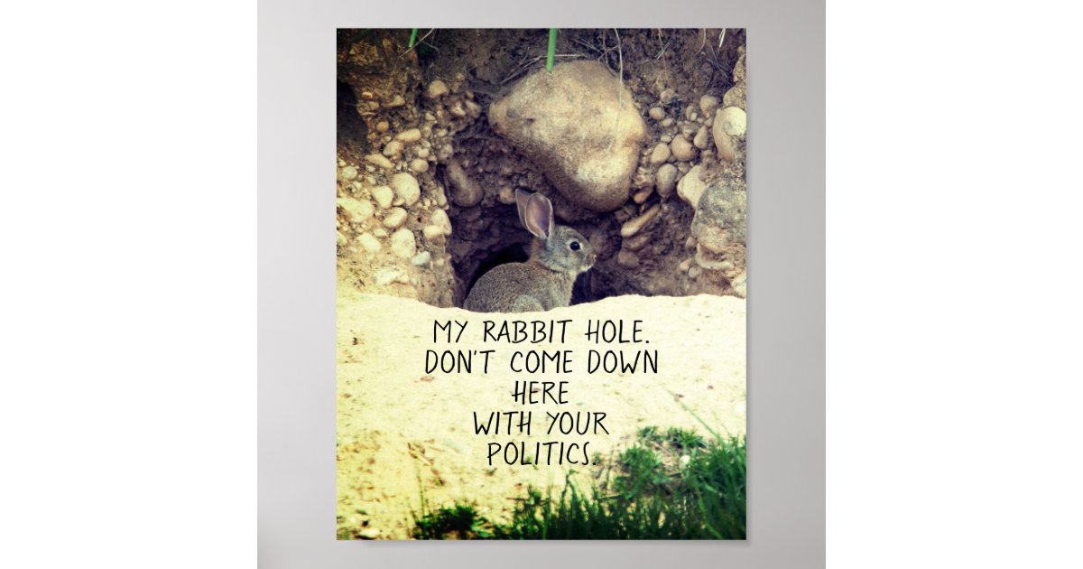 Political Rabbit Hole Bunny Photo Politics Humor Poster | Zazzle