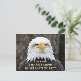 Political Satire American Bald Eagle VOTE Postcard | Zazzle