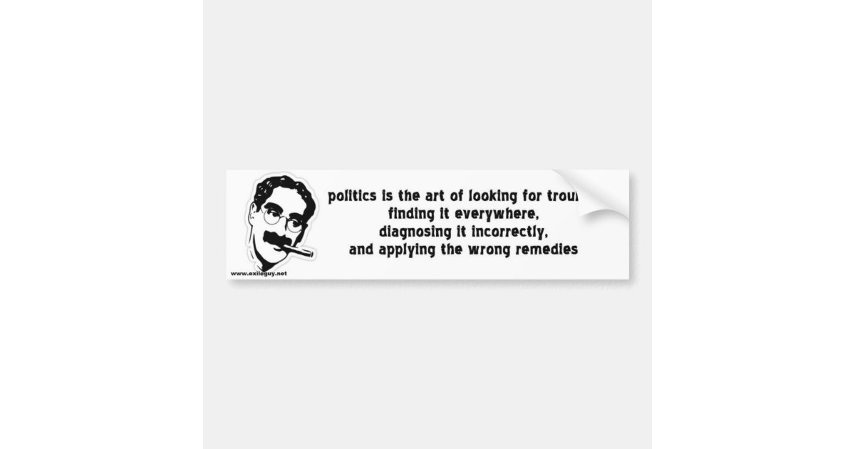 politics bumper sticker | Zazzle