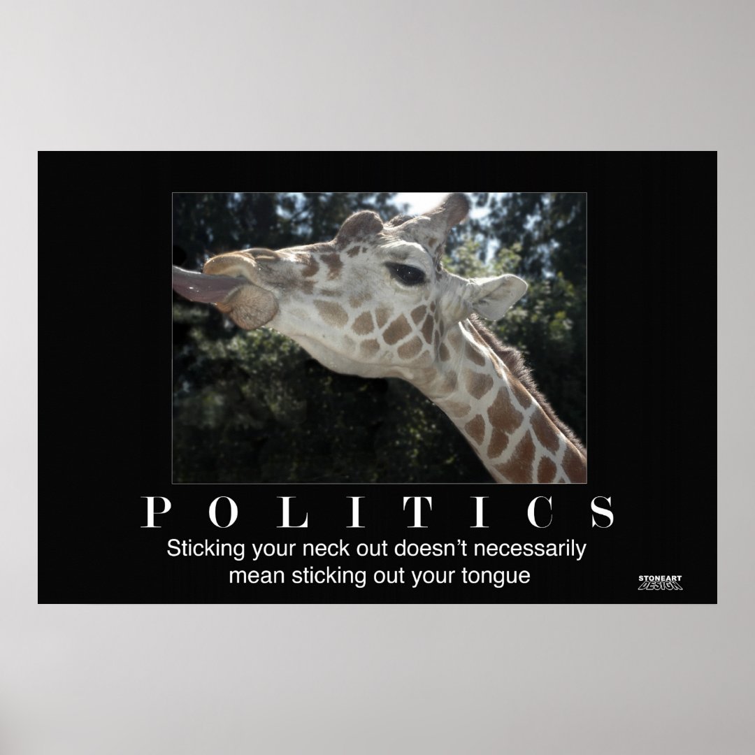 Politics Poster | Zazzle