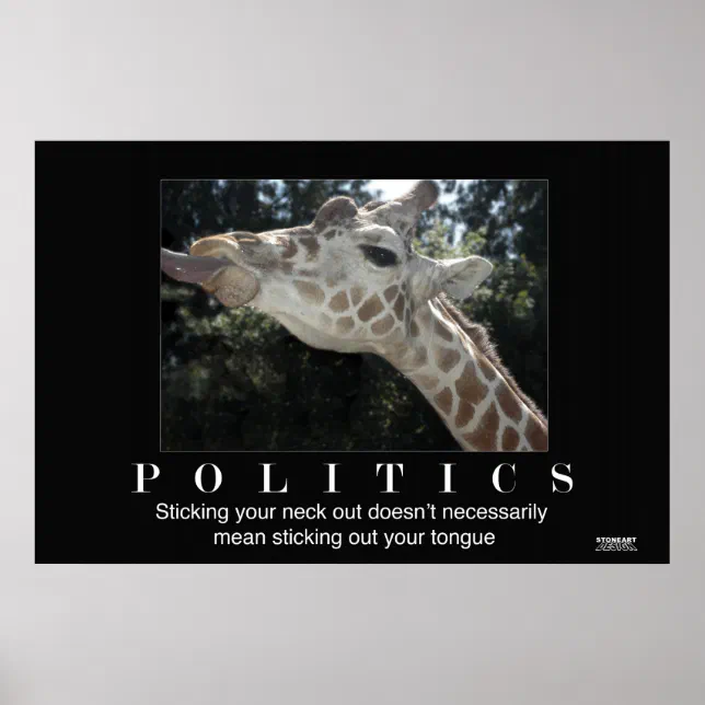Politics Poster | Zazzle