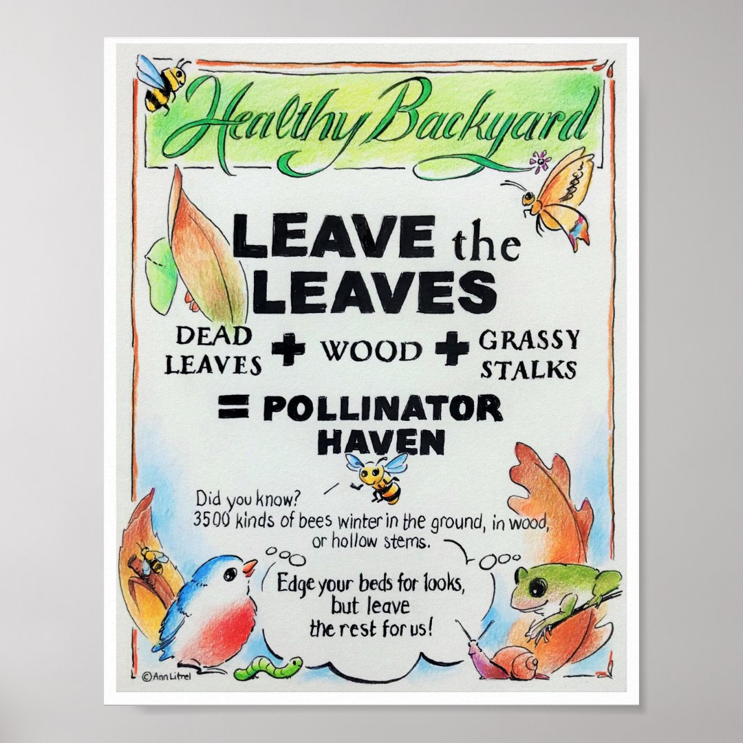 Pollinator Friendly Education - Leave the Leaves Poster | Zazzle