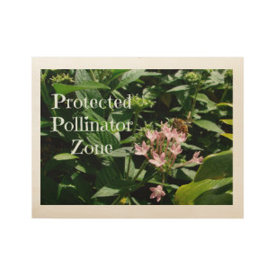 Pollinator Posters & Photo Prints | Zazzle