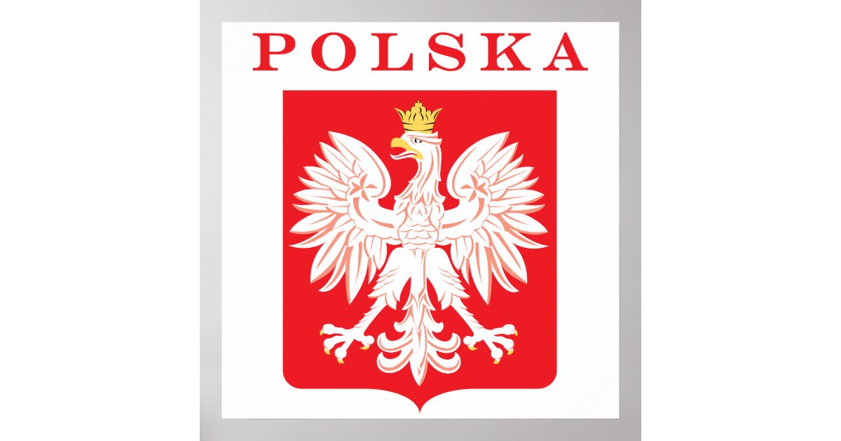 Polska Eagle Red Shield Poster | Zazzle