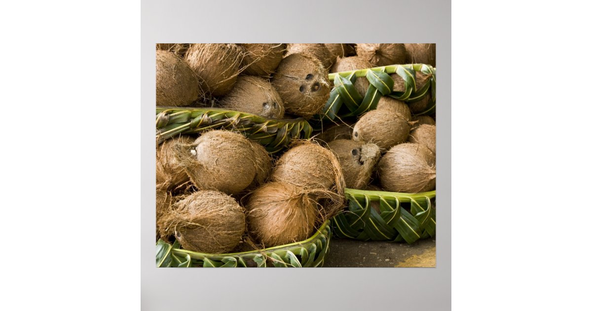 Polynesia, Kingdom of Tonga. Display of coconuts Poster | Zazzle