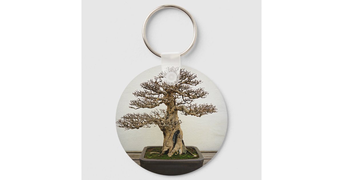 Pomegranate Bonsai Tree Keychain | Zazzle