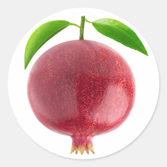 Pomegranate Classic Round Sticker | Zazzle.com