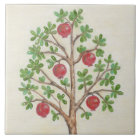 Pomegranate Decorative Ceramic Tile Kitchen Accent | Zazzle.com