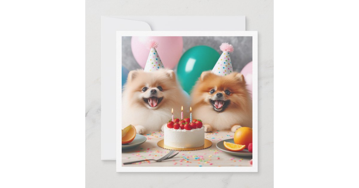 Pomeranian birthday card, Pomeranian, Pomeranian Invitation | Zazzle