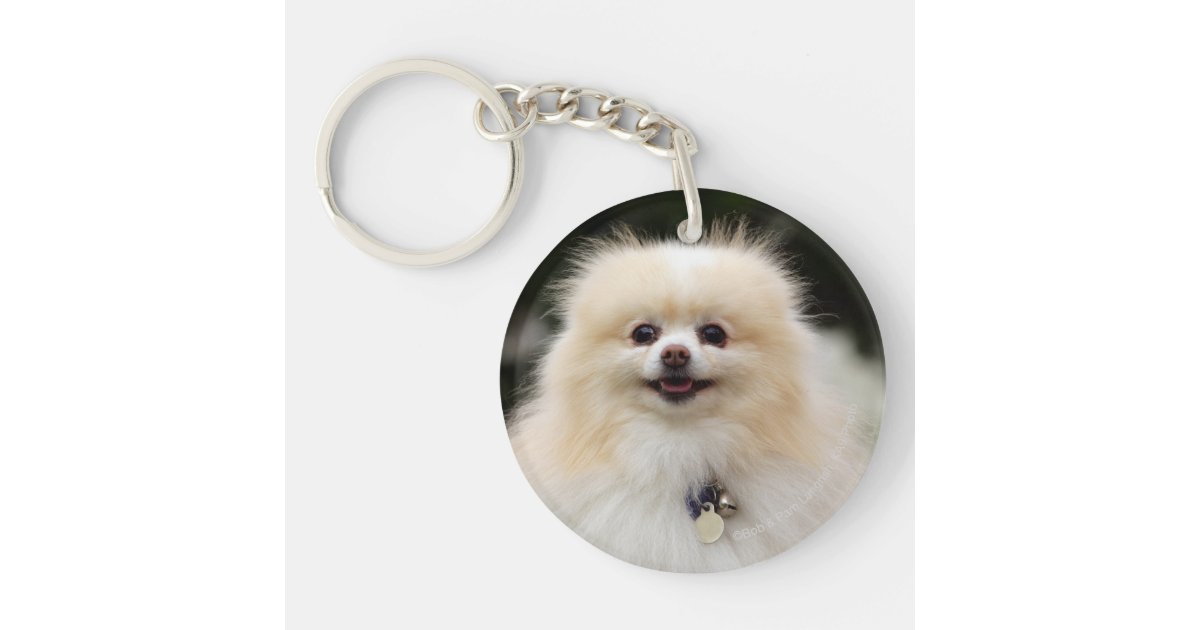 Pomeranian Headshot 1 Keychain | Zazzle