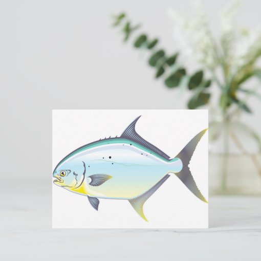 Pompano Florida fish vector illustration Postcard | Zazzle