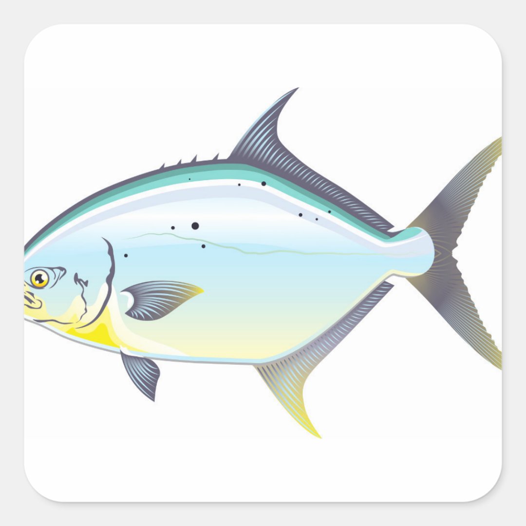 Pompano Florida fish vector illustration Square Sticker | Zazzle