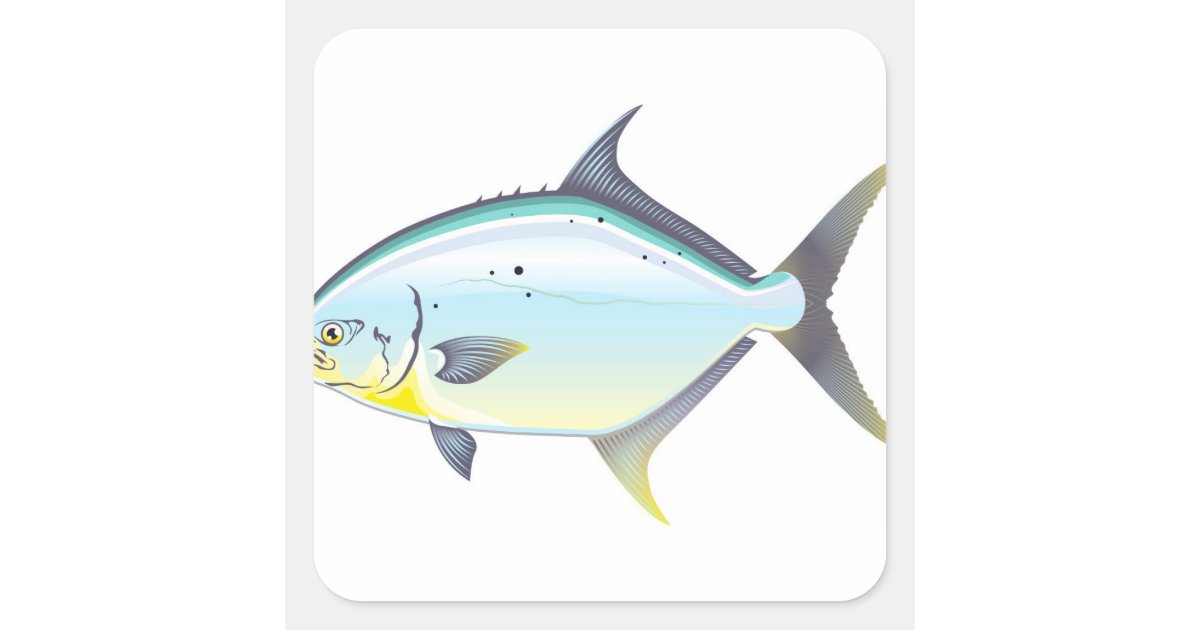 Pompano Florida fish vector illustration Square Sticker | Zazzle