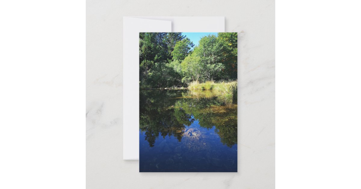 pond in the forest card | Zazzle