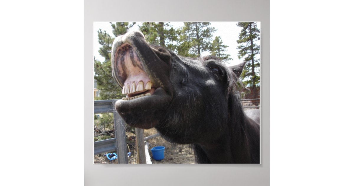 Pony Talk Poster | Zazzle