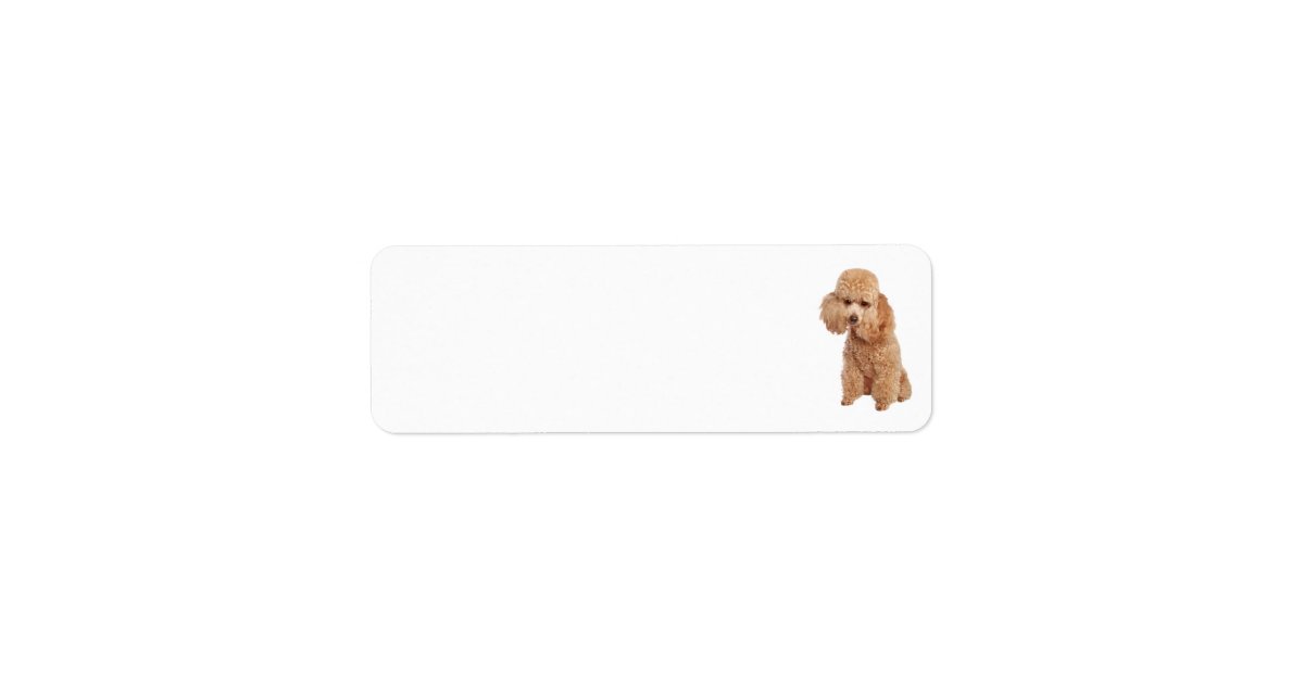 Poodle Address Label | Zazzle