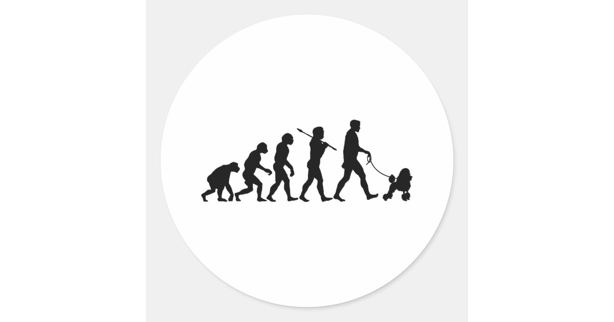 Poodle Classic Round Sticker | Zazzle