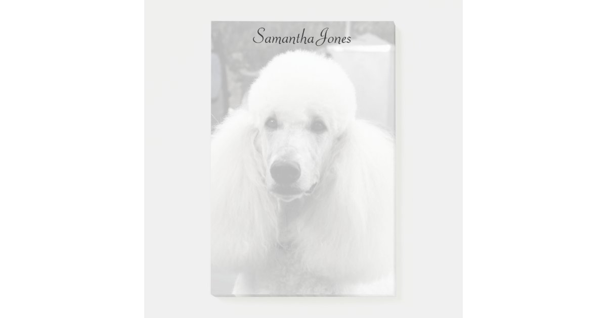 Poodle dog post it notes | Zazzle