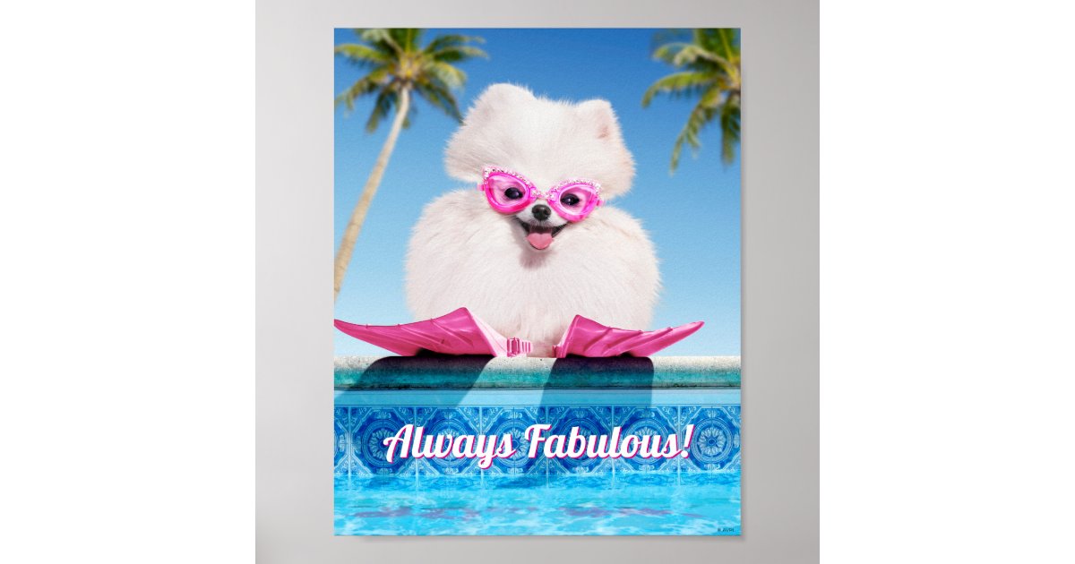 Poolside Dog In Flippers Poster | Zazzle