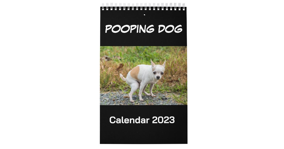 Pooping Dog Calendar 2023 | Zazzle