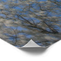 Poplar Tree Fluff Snow In June Orton Nature Art Poster | Zazzle