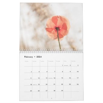 Poppies In My Poppy Garden - Flower Calendar | Zazzle