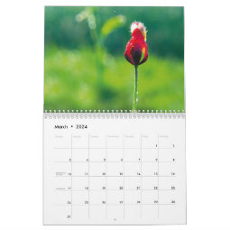 Poppies In My Poppy Garden - Flower Calendar | Zazzle