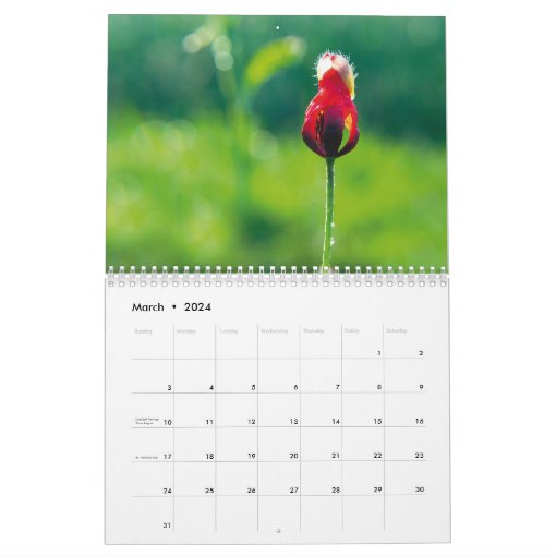 Poppies In My Poppy Garden - Flower Calendar | Zazzle