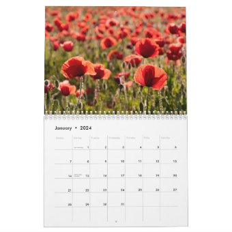 Poppies In My Poppy Garden - Flower Calendar | Zazzle