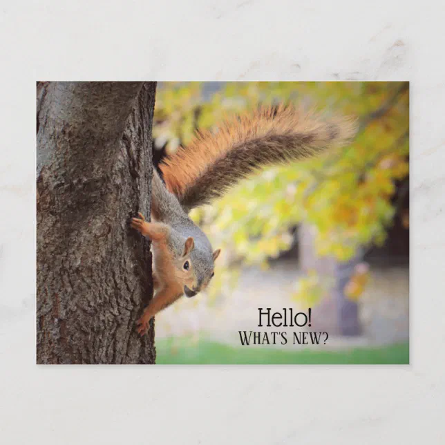Popping in To Say Hello Postcard | Zazzle