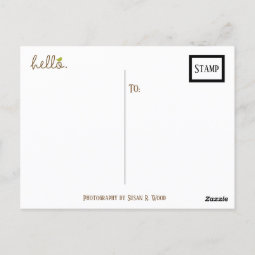 Popping in To Say Hello Postcard | Zazzle