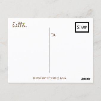 Popping in To Say Hello Postcard | Zazzle