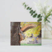 Popping in To Say Hello Postcard | Zazzle