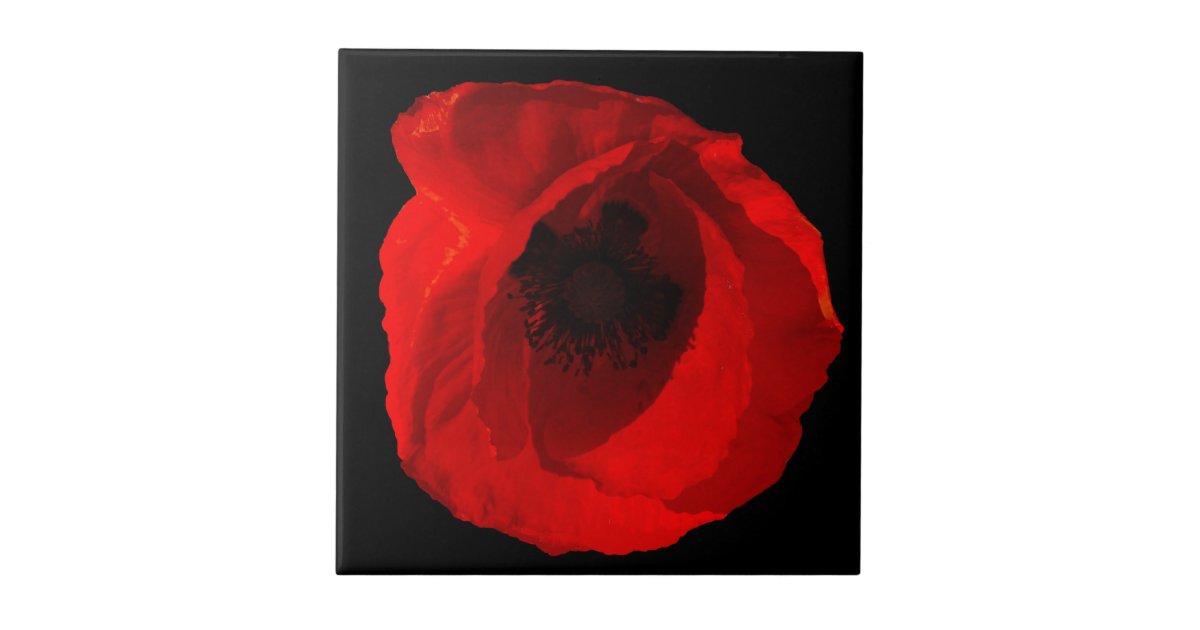 Poppy Ceramic Tile | Zazzle