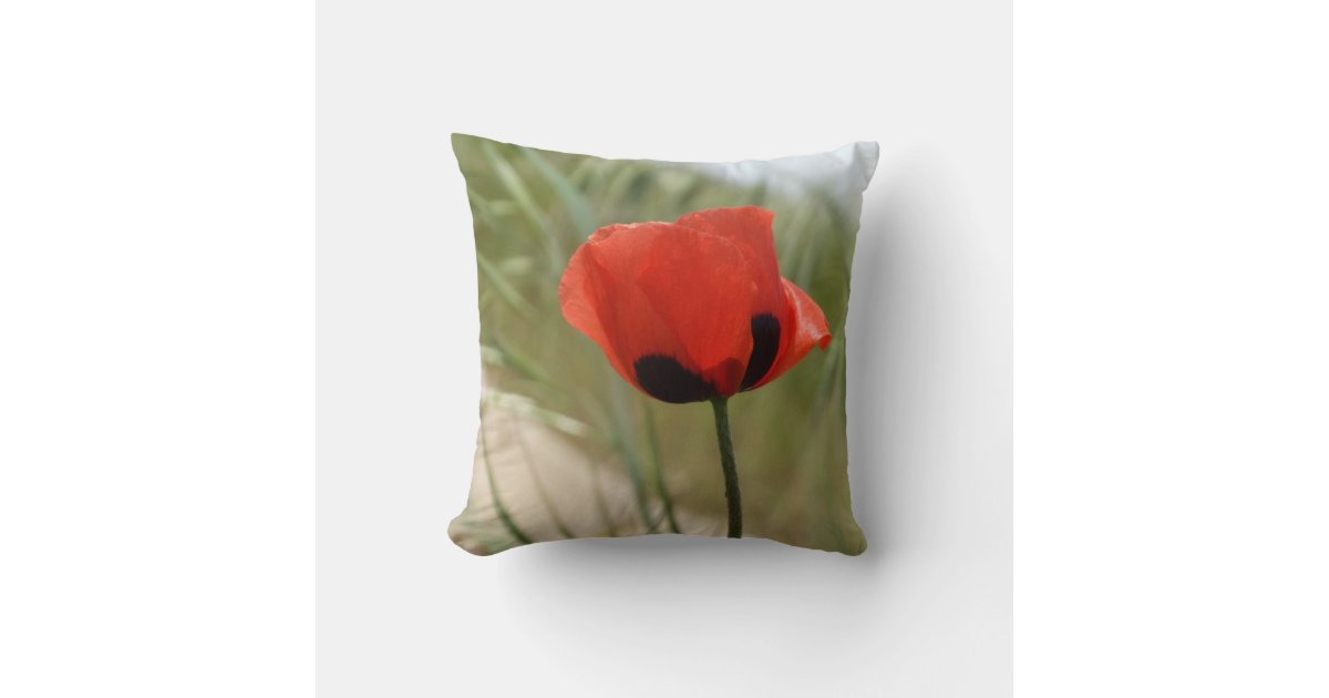 Poppy Cushion | Zazzle